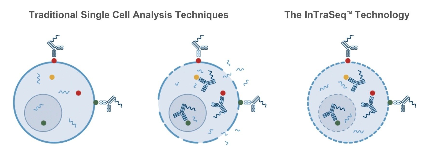 Why is combining scRNA & intracellular signaling data difficult? Why is combining scRNA & intracellular signaling data difficult?